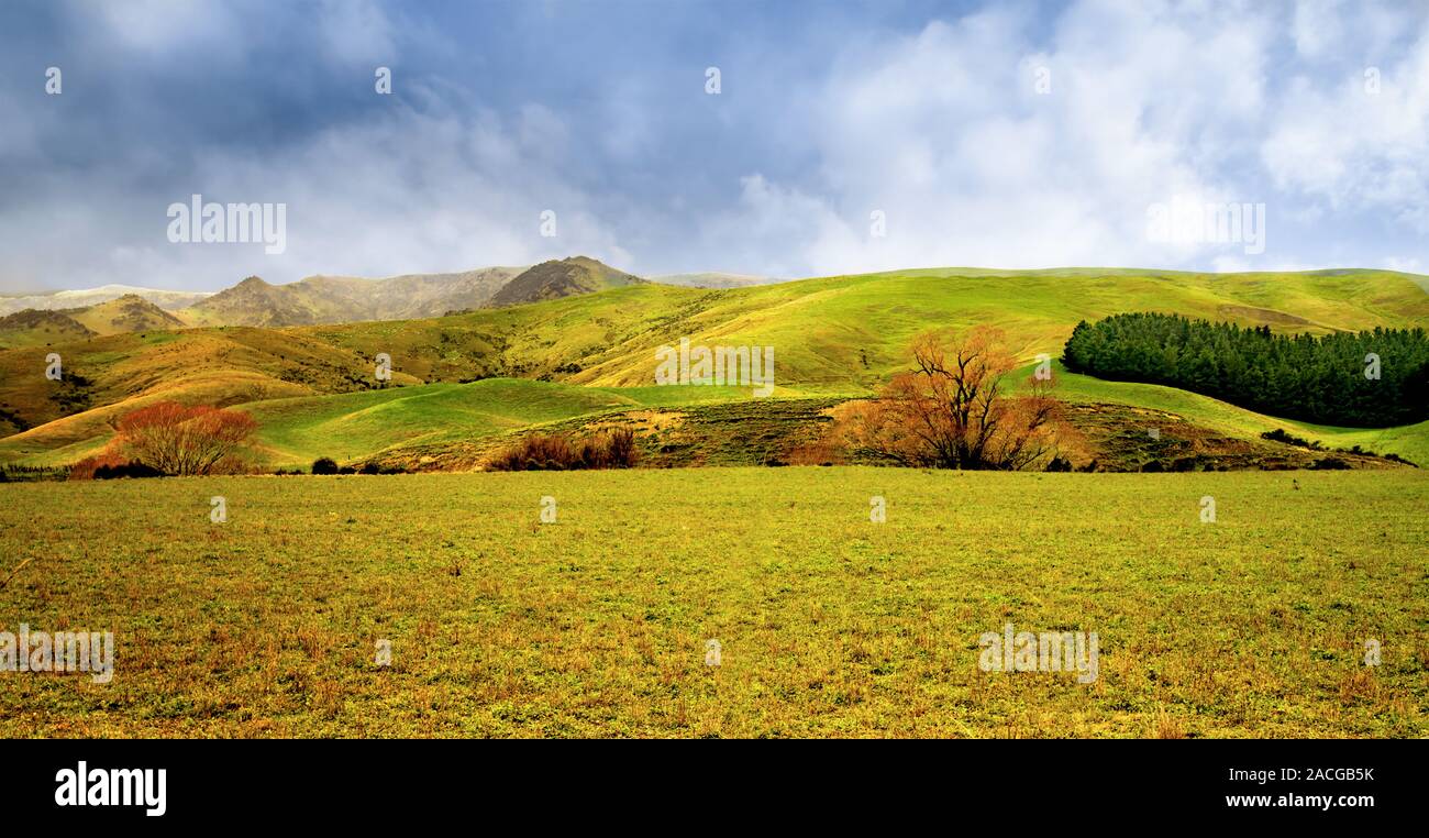 New zealand rural scene hi-res stock photography and images - Alamy