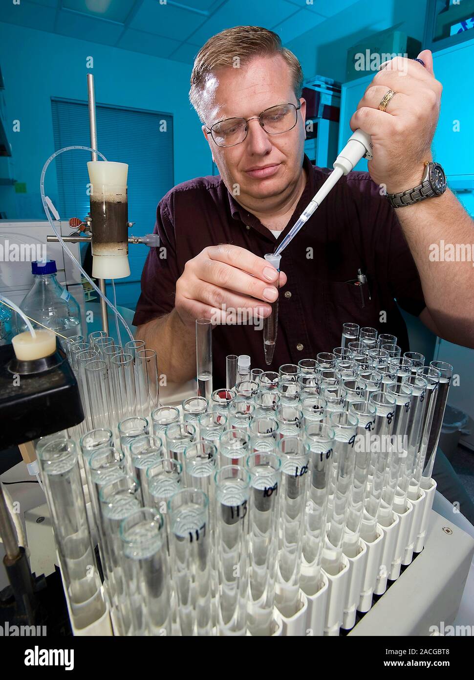 Drug contamination soil tests. Soil scientist preparing an analysis of ...