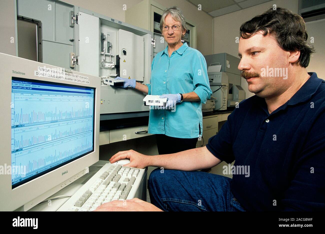 Microbiology research. Technician and microbiologist (right) preparing ...