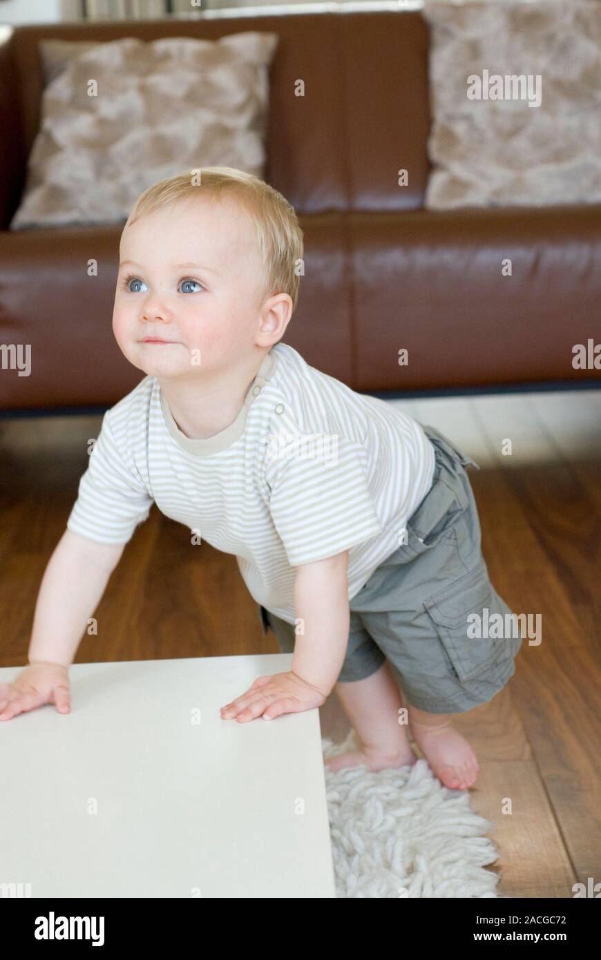 Toddler trying to stand up Stock Photo - Alamy