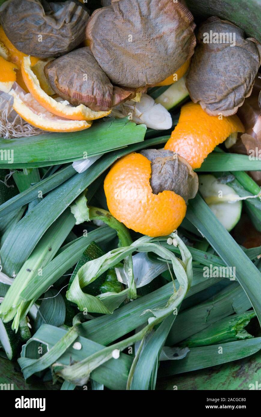 Composting kitchen waste. Kitchen leftovers collected ready for ...