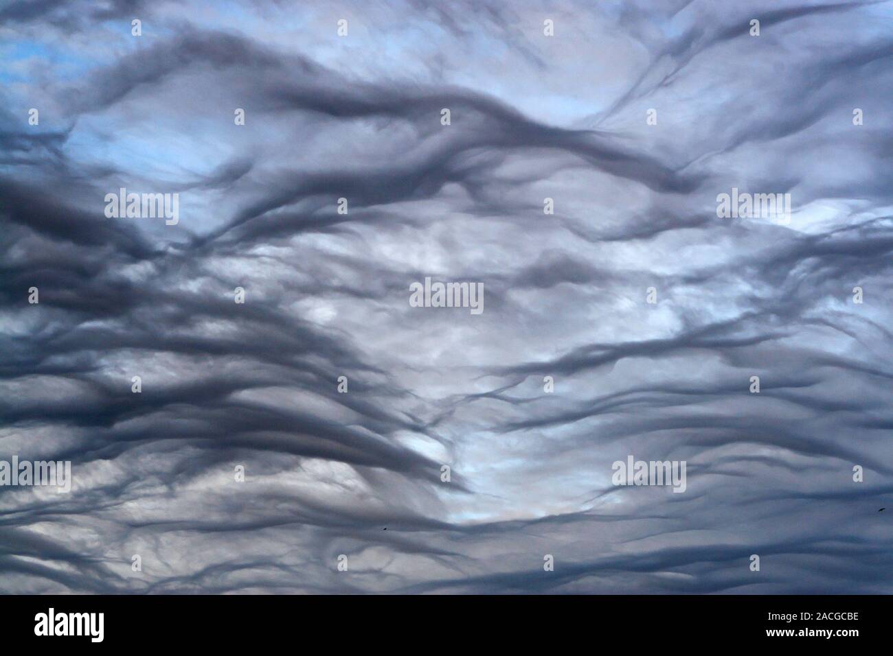 Altostratus undulatus clouds. This cloud formation is a type of low ...