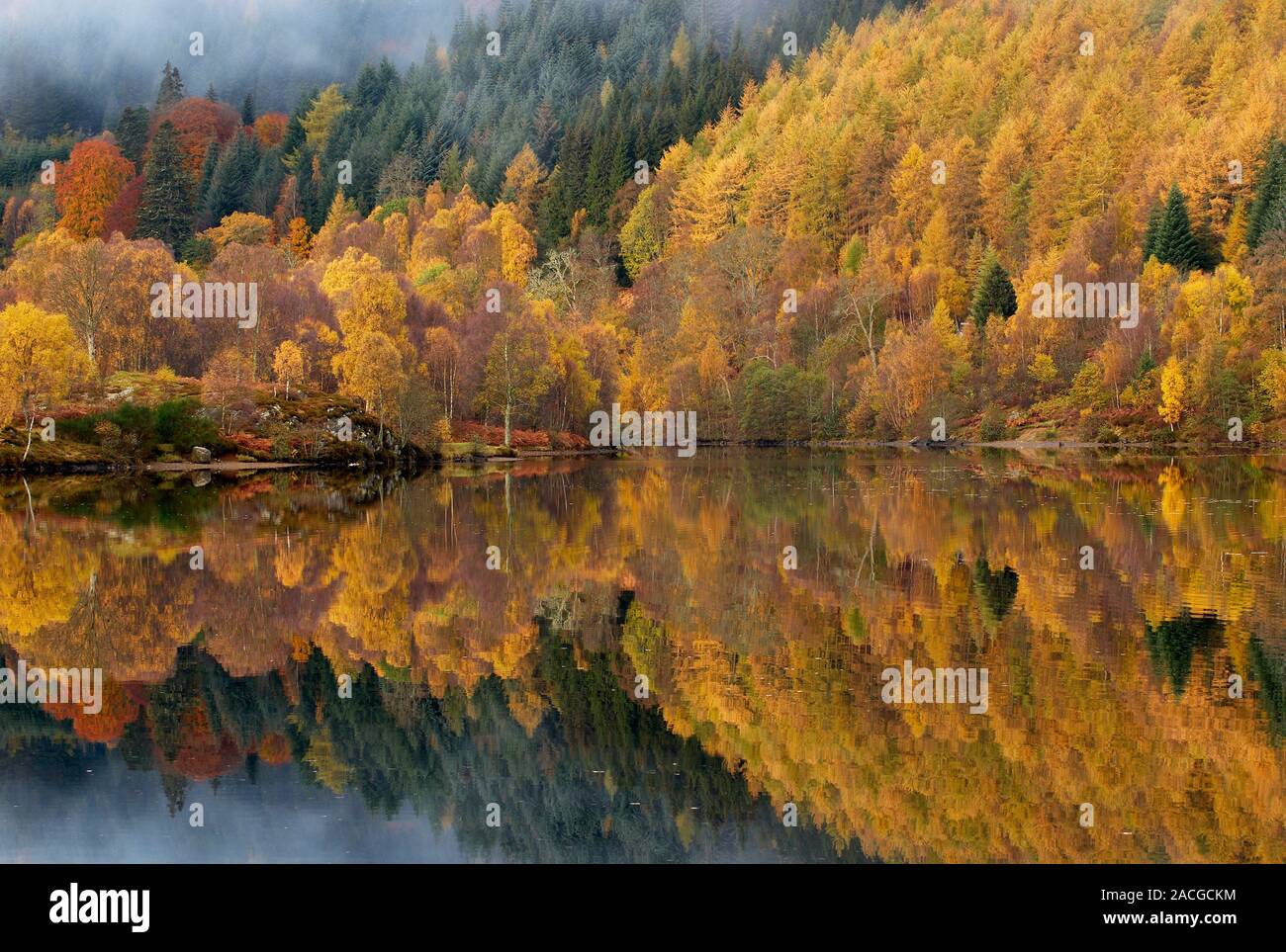 Autumn colours. Misty morning at Loch Tummel in Perthshire, Scotland. A ...