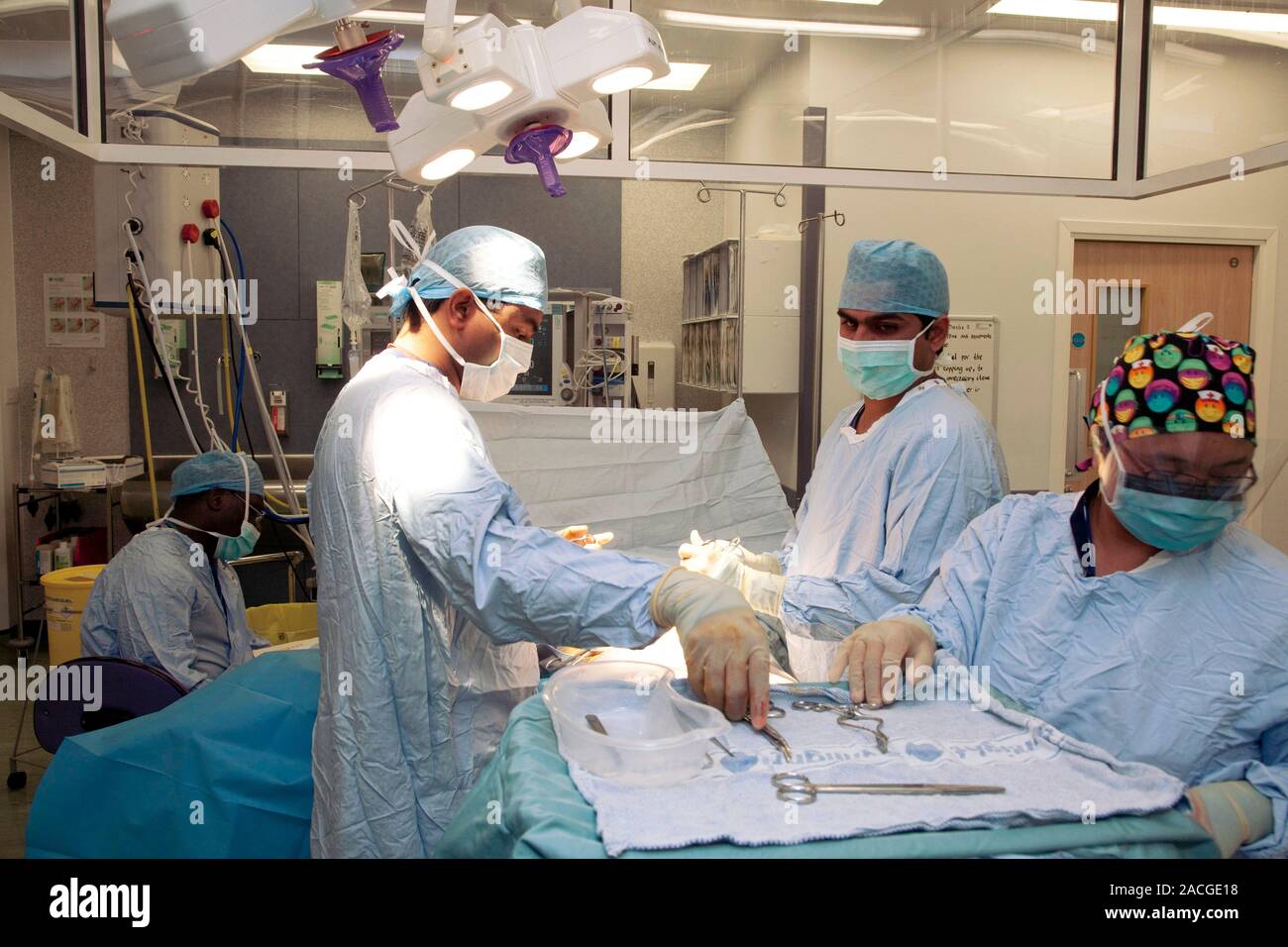 Hernia operation. Surgeons performing surgery to repair an epigastric ...