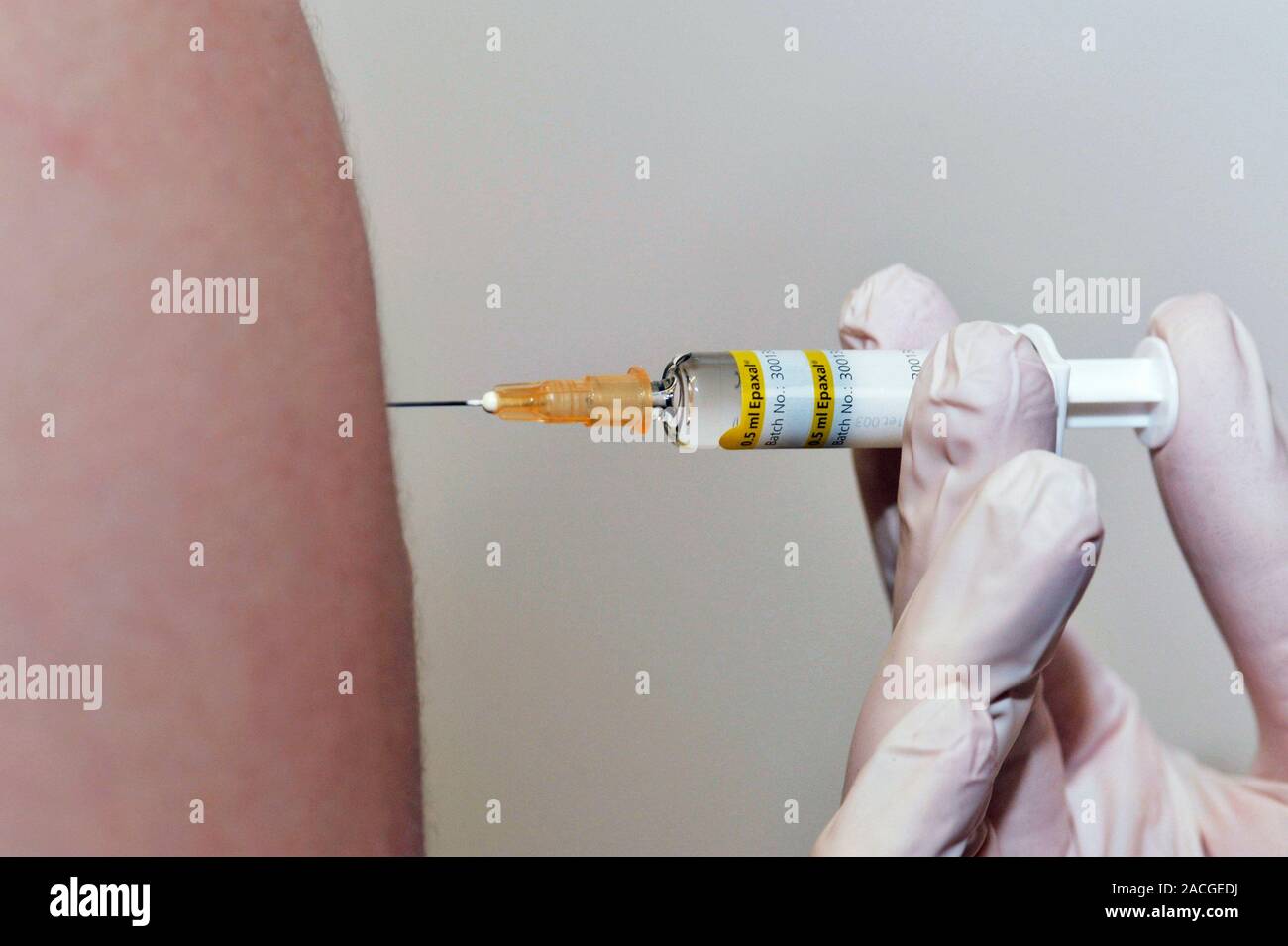 Gloved hand holding a syringe administers Exapal vaccine to inoculate ...