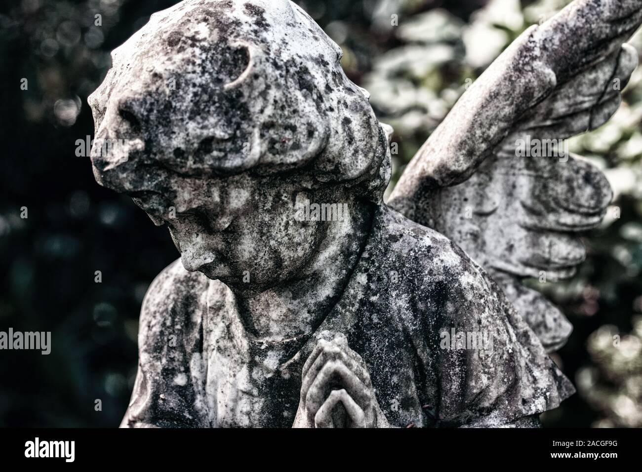 Majestic view of a weathered statue of a small angel against a ...