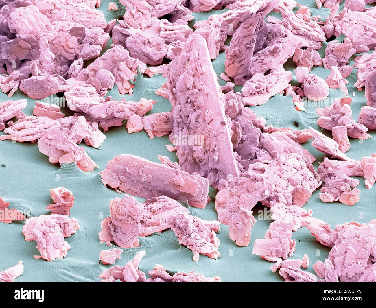 Sweet'N Low sweetener. Coloured scanning electron micrograph (SEM) of ...