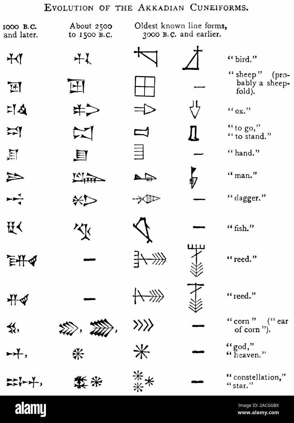 Evolution of Cuneiform writing from 3000BC to 1000BC. Cuneiform is the ...