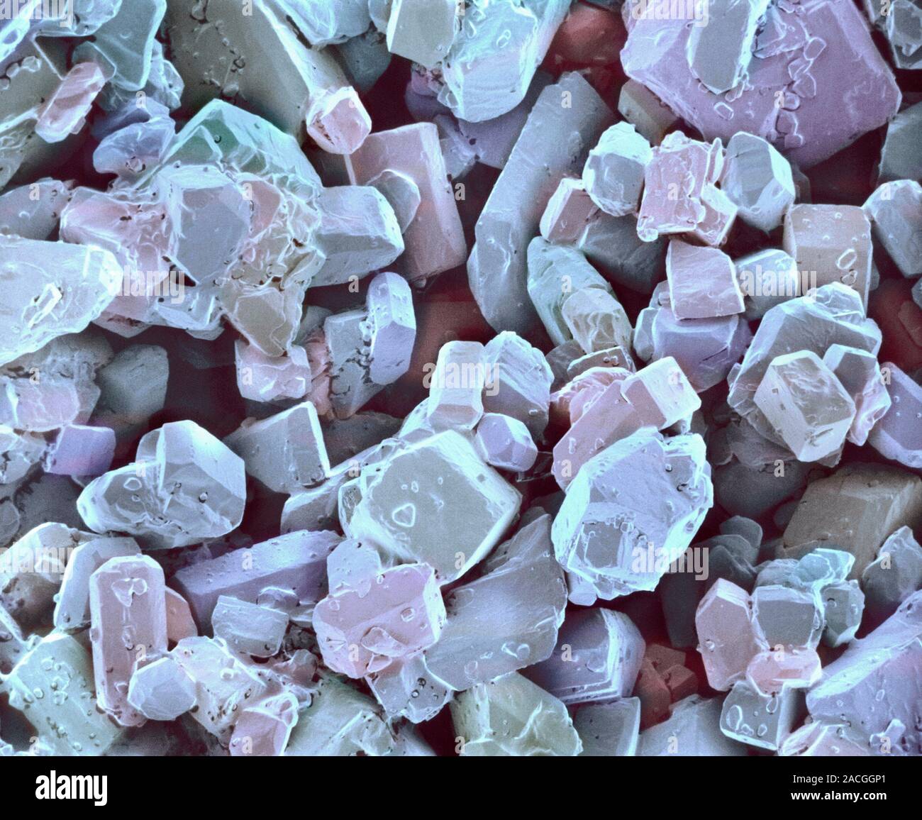 Sugar crystals. Coloured scanning electron micrograph (SEM) of sucrose ...