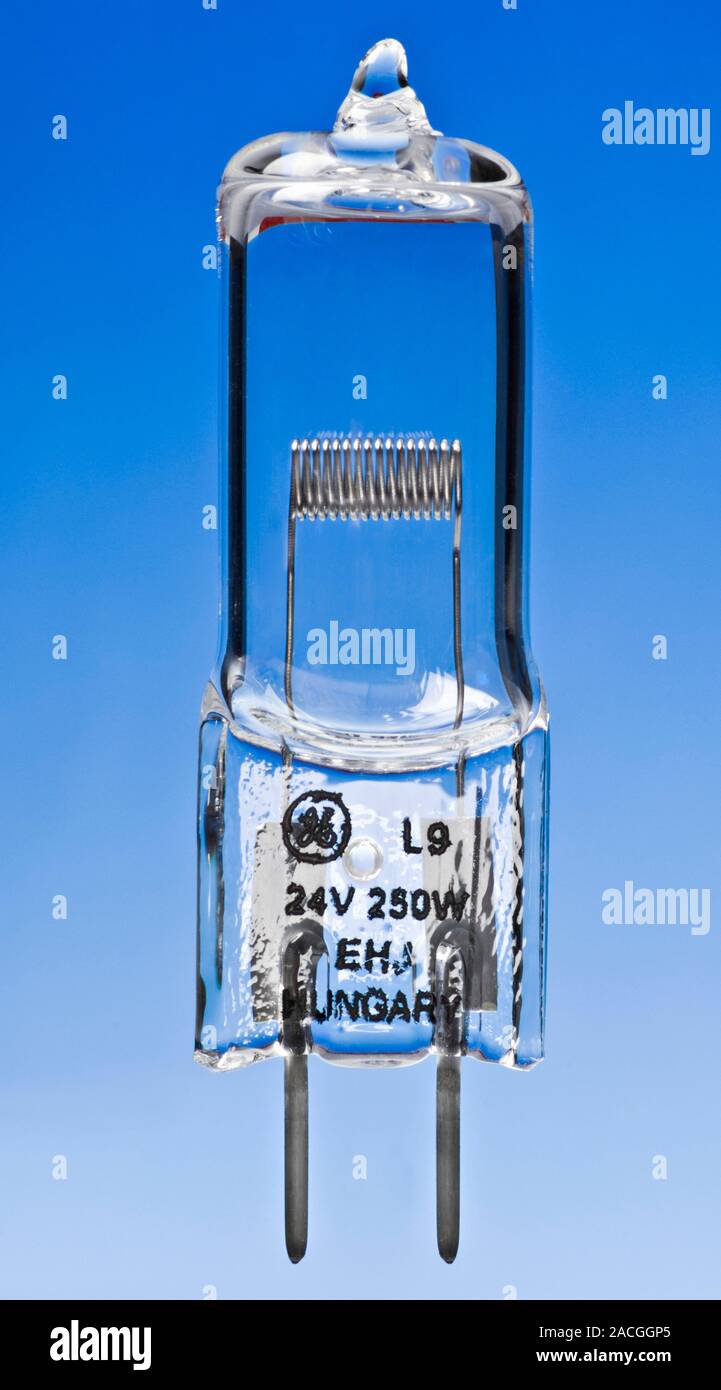 Tungsten halogen lamp for slide projector. This size of halogen lamp is ...