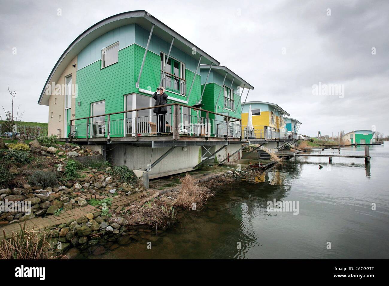 Floating amphibious houses on the Maas river. The cellars of these ...