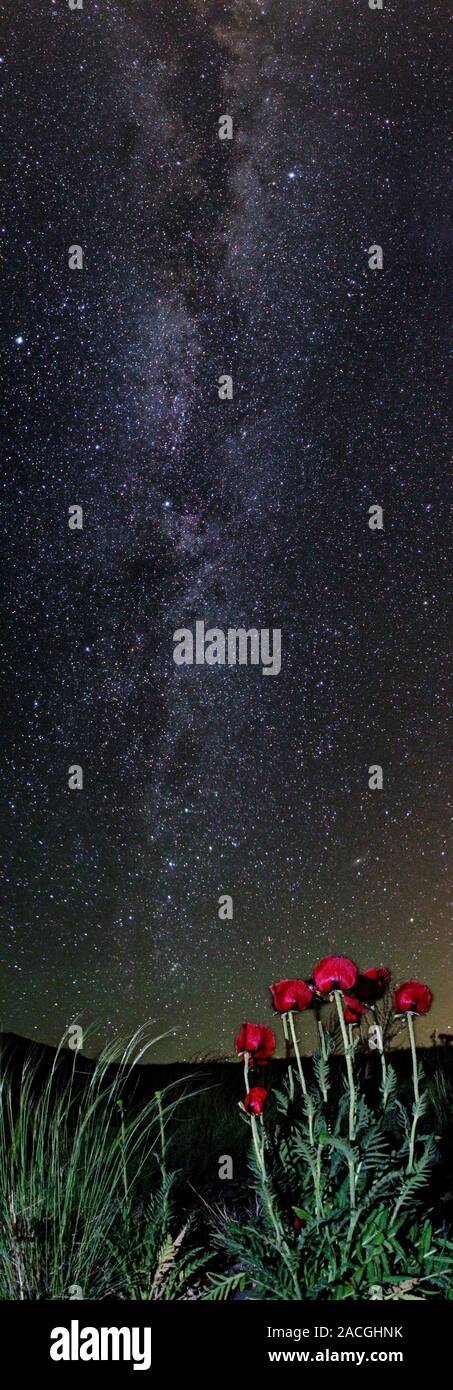 The spectacular display of the Milky Way in constellations Cassiopeia ...