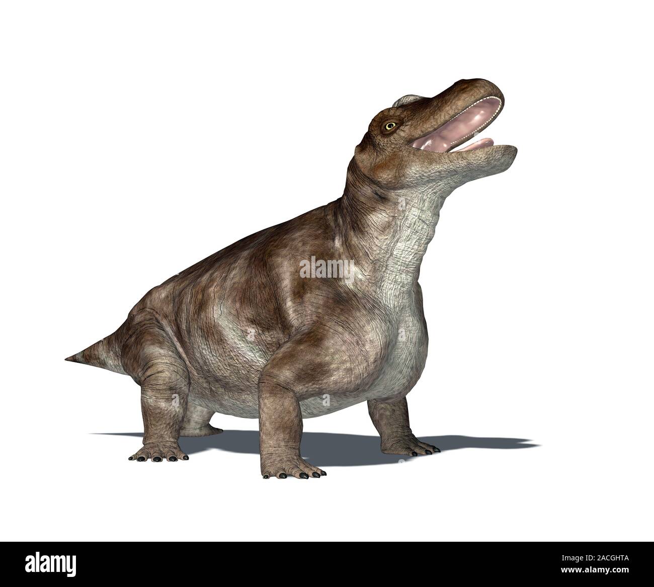 Keratocephalus, computer artwork. Keratocephalus belonged to the ...