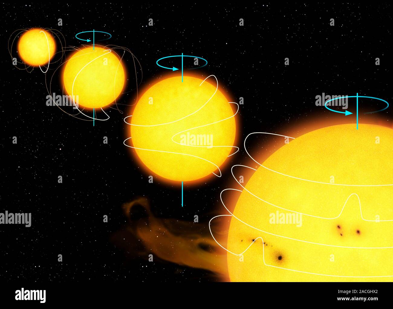 Sunspot formation. Computer artworks and diagrams showing how the solar ...
