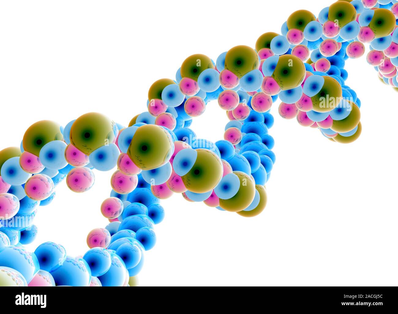 DNA, computer artwork. DNA (deoxyribonucleic acid) is the molecule that ...