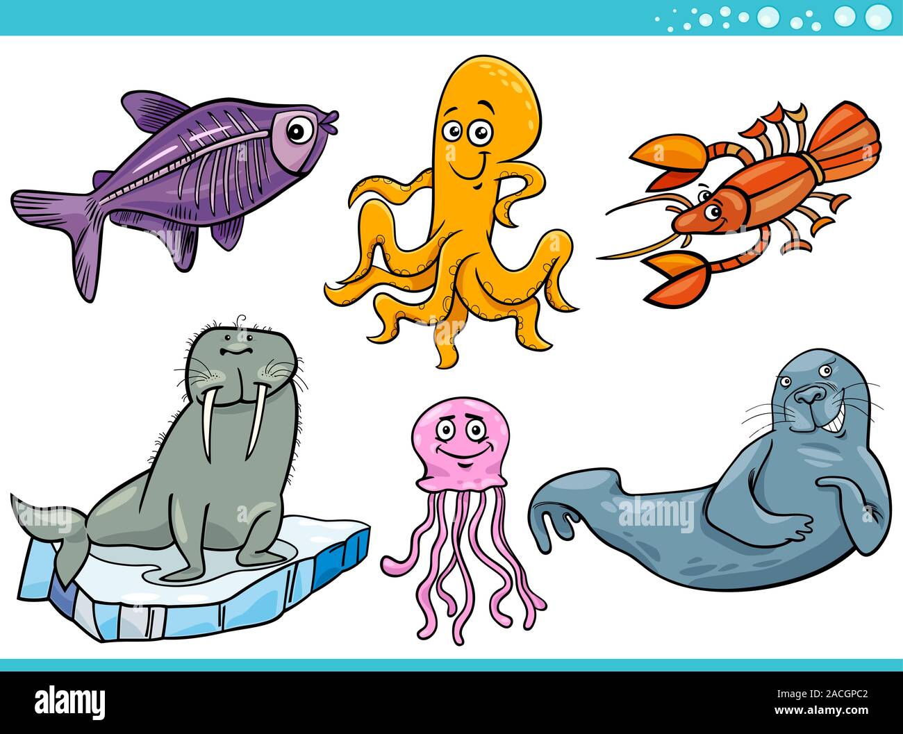 Cartoon Illustration of Sea Life or Marine Wild Animal Characters ...
