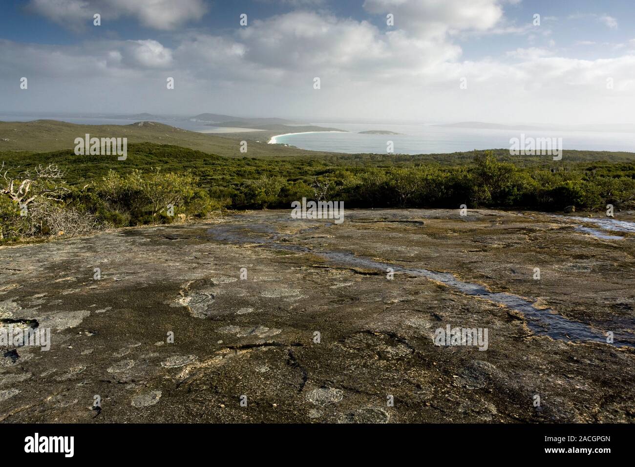 Ancient pre-cambrian granite domes, with wind stunted vegetation in the ...