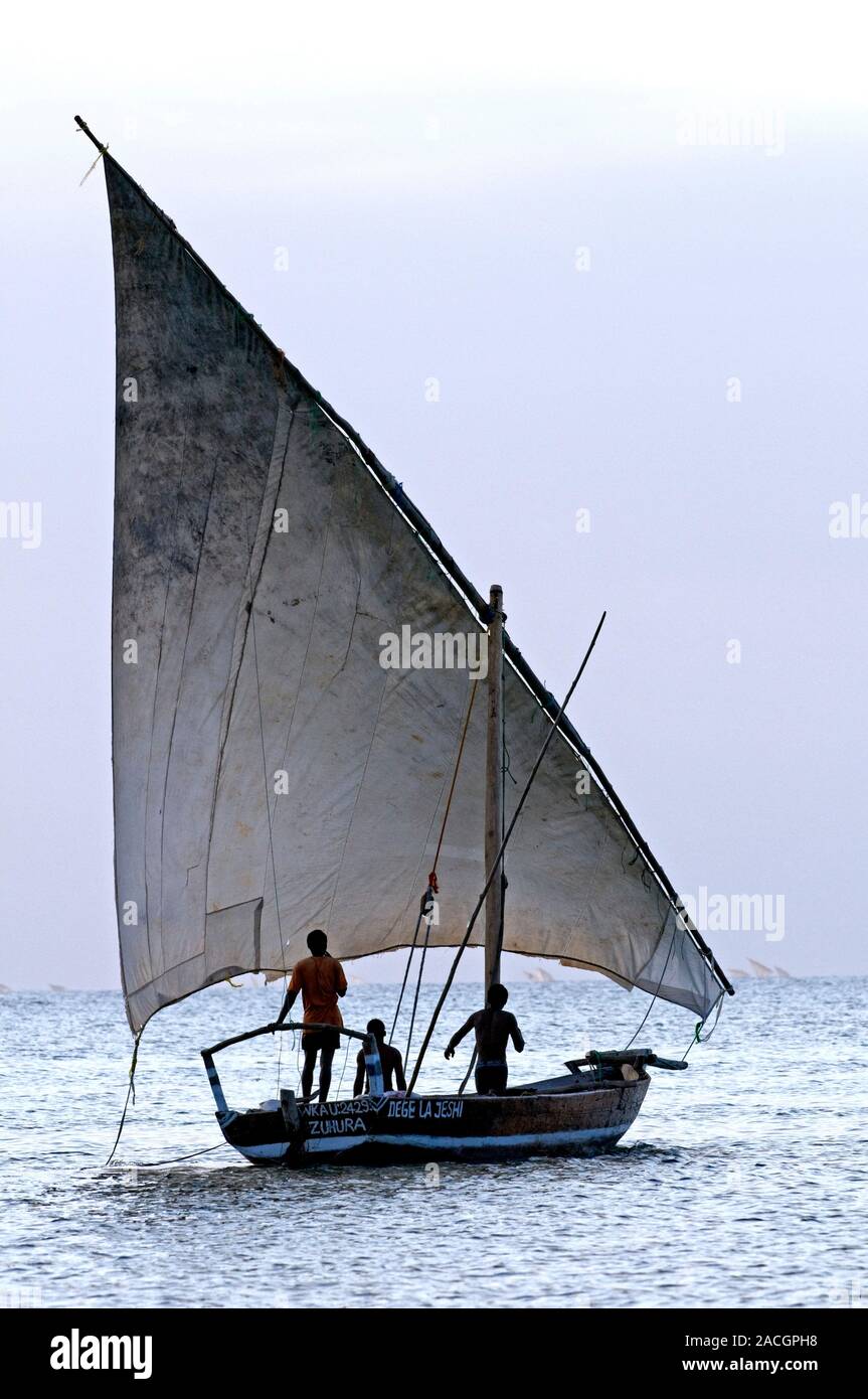 Traditional dhow. Fishermen using a traditional Arabic sailing vessel ...