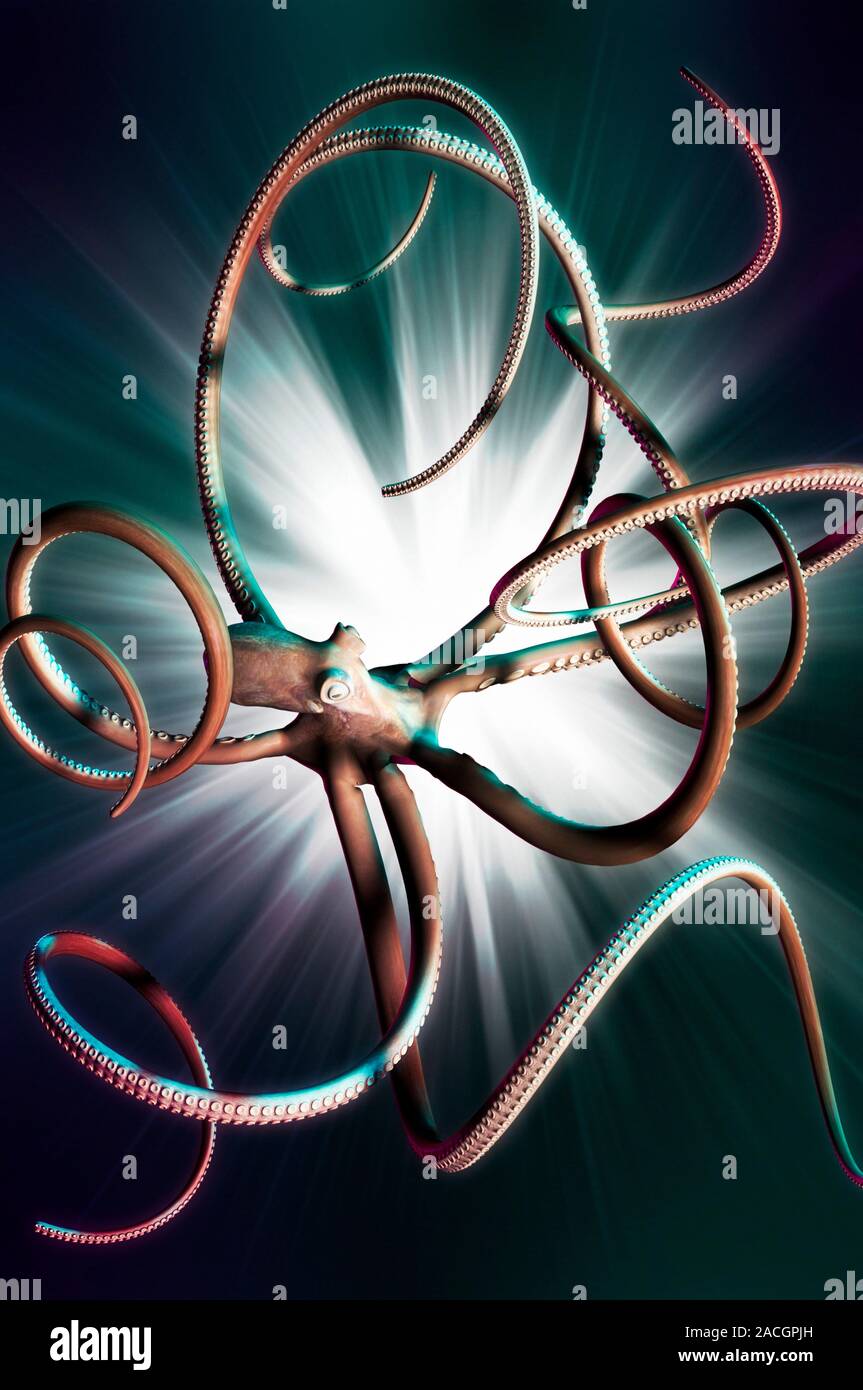 Giant octopus. Computer artwork of a giant octopus in front of a bright ...
