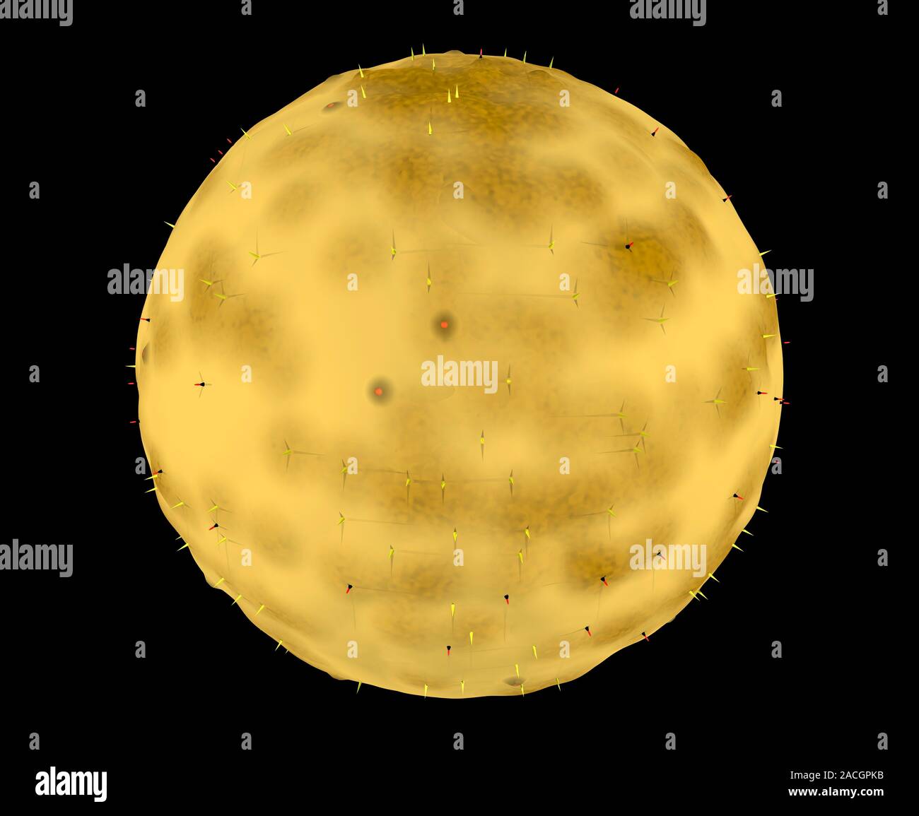Extremophile genome map, computer artwork. Genome map of the extreme ...