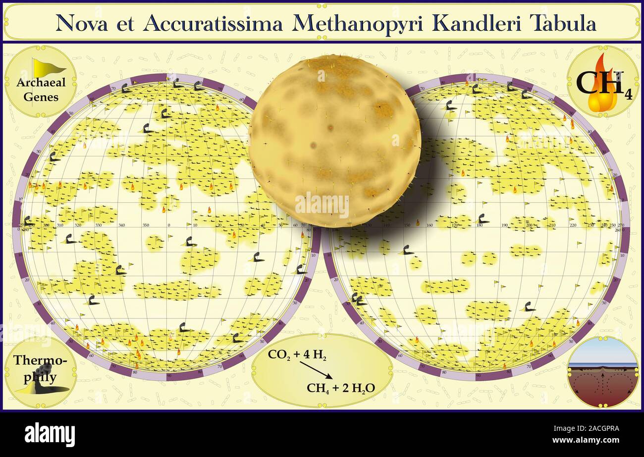 Extremophile genome map, computer artwork. Genome map of the extreme ...