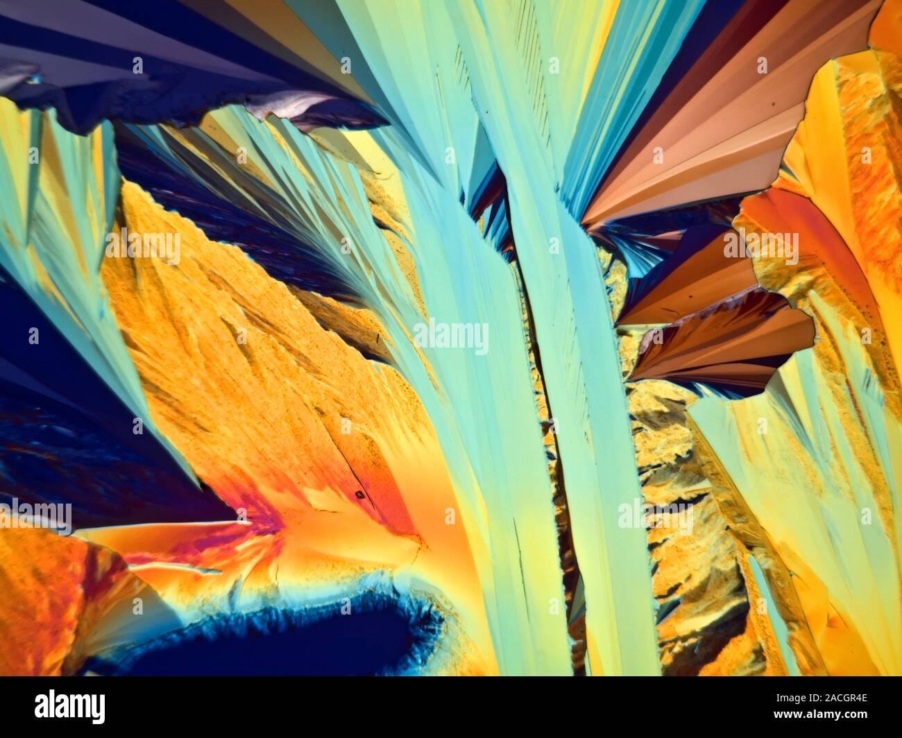 Paracetamol. Polarised light micrograph of paracetamol (acetaminophen ...