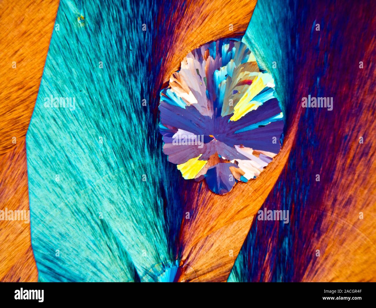 Paracetamol. Polarised light micrograph of paracetamol (acetaminophen ...