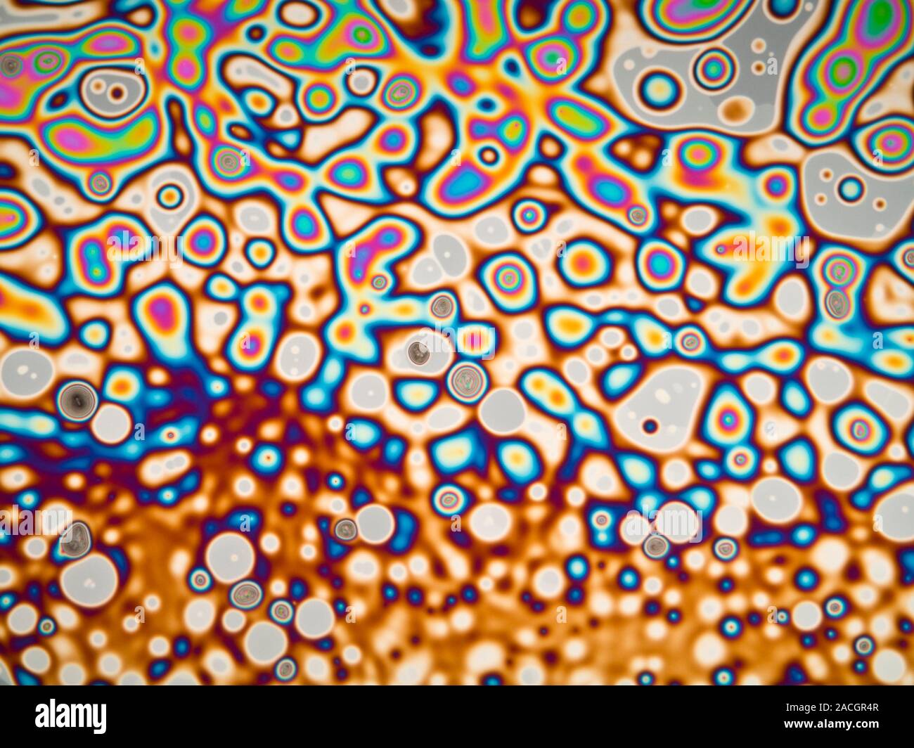 Interference pattern. Light micrograph of interference patterns on a ...