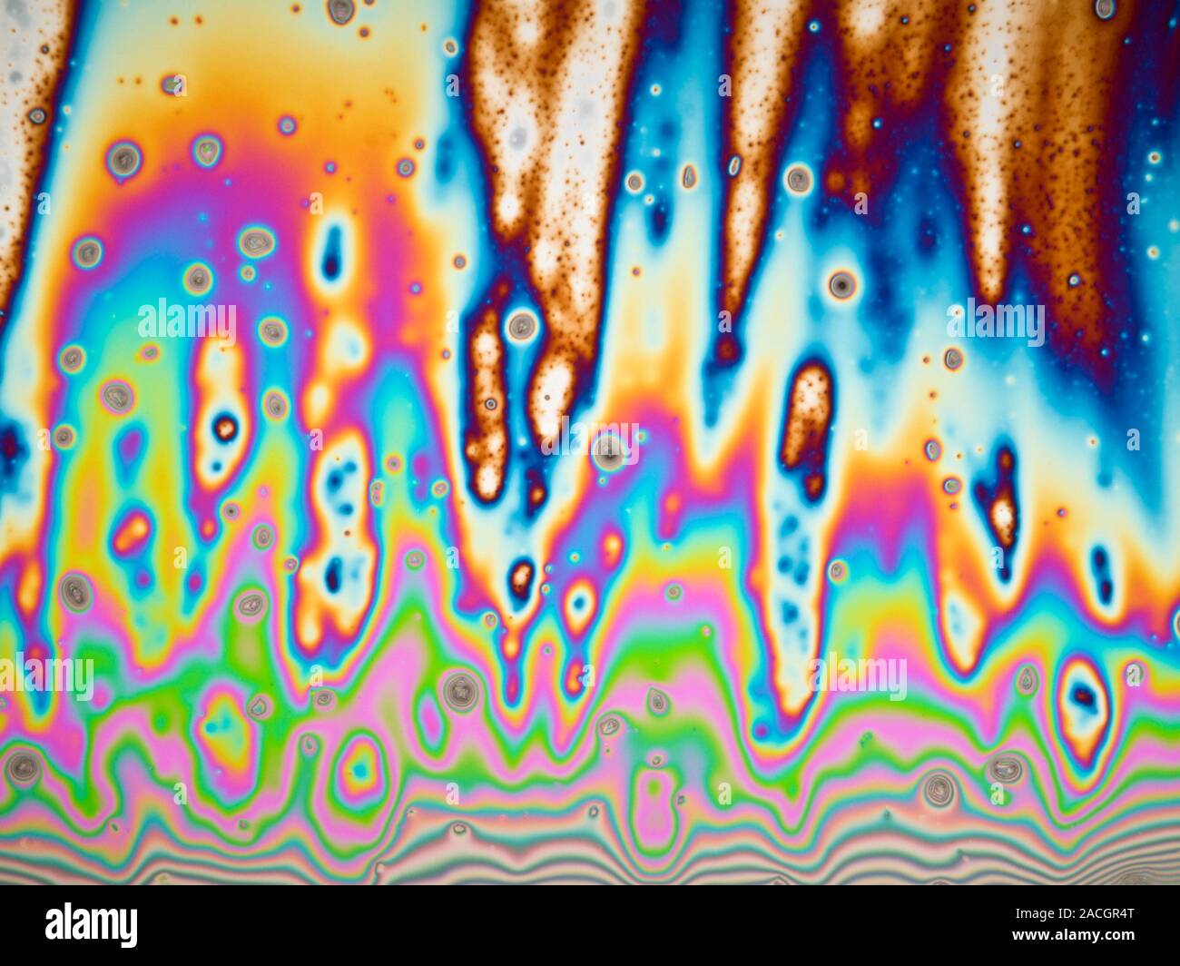 Interference pattern. Light micrograph of interference patterns on a ...