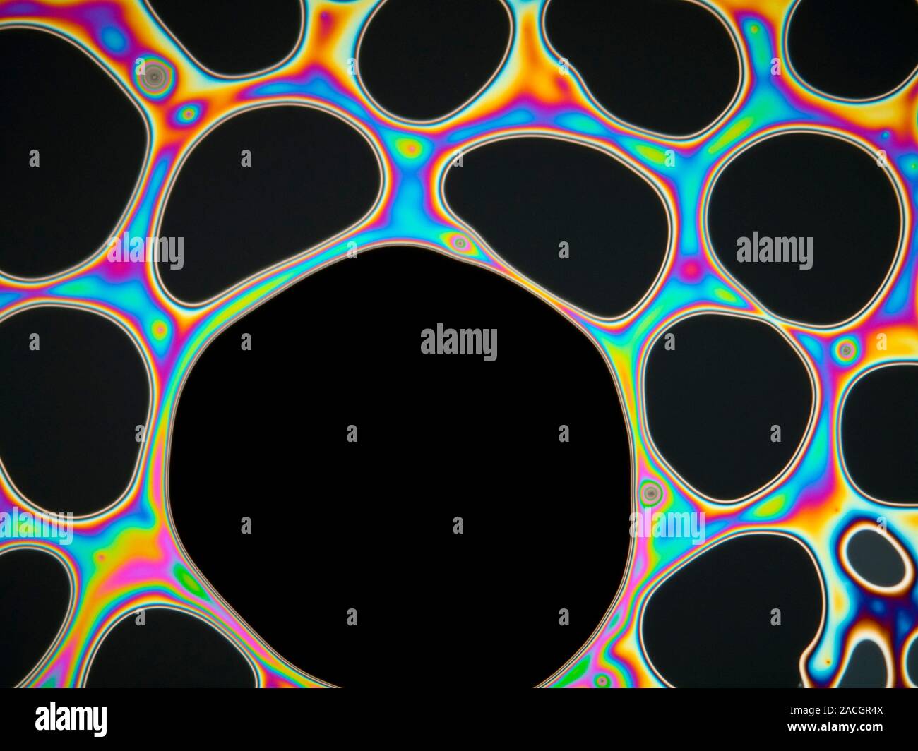 Interference pattern. Light micrograph of interference patterns on a ...