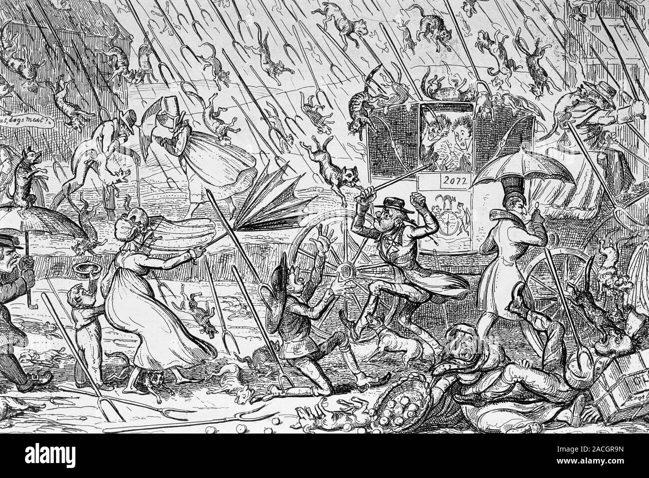 Raining cats and dogs, 1817 caricature. Historical artwork by the ...
