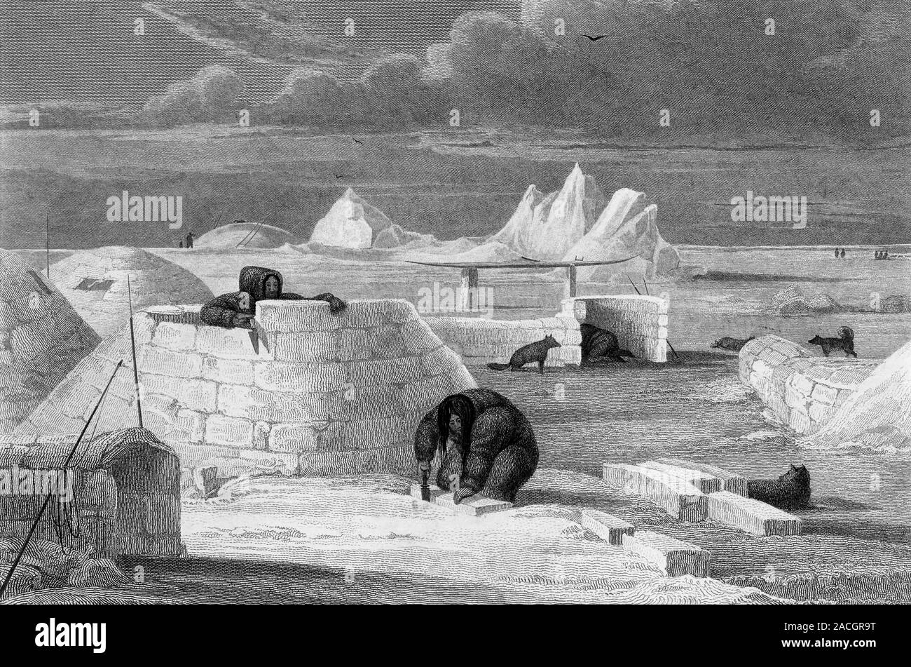 Building an igloo. 19th century artwork of Inuit building an igloo, or ...