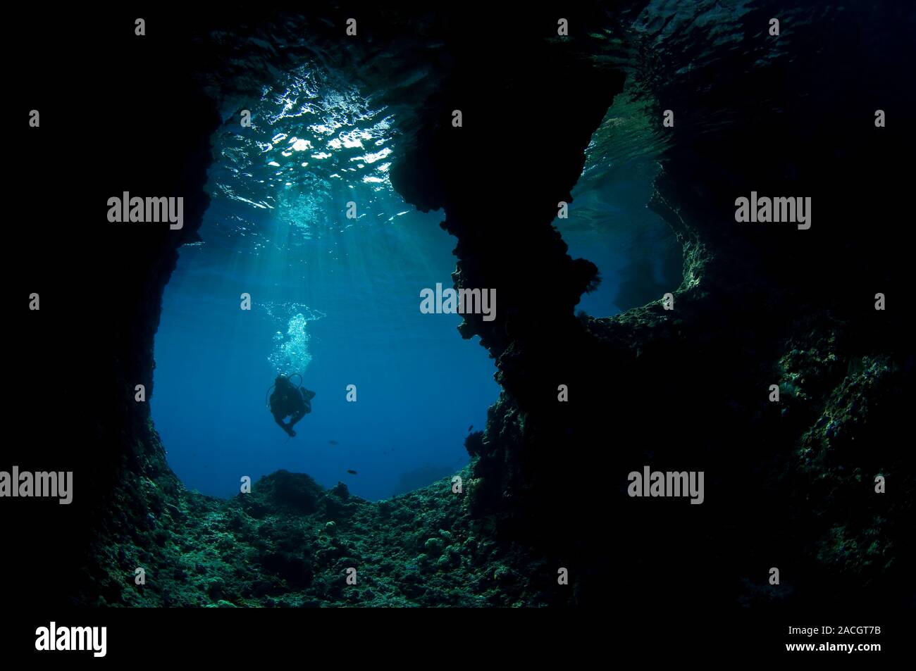 Cave diving. SCUBA diver exploring the entrance to a cave. Photographed ...