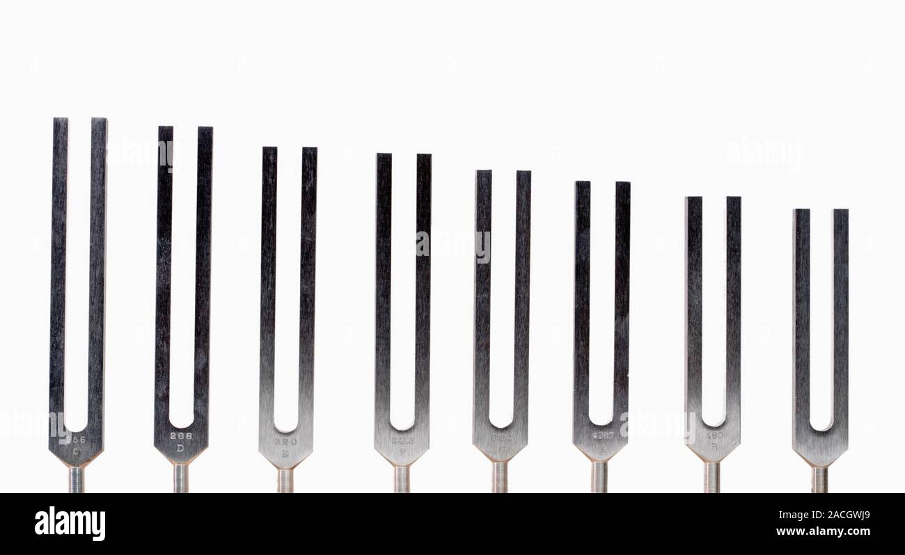 Tuning forks arranged in increasing frequency (from left to right). An ...