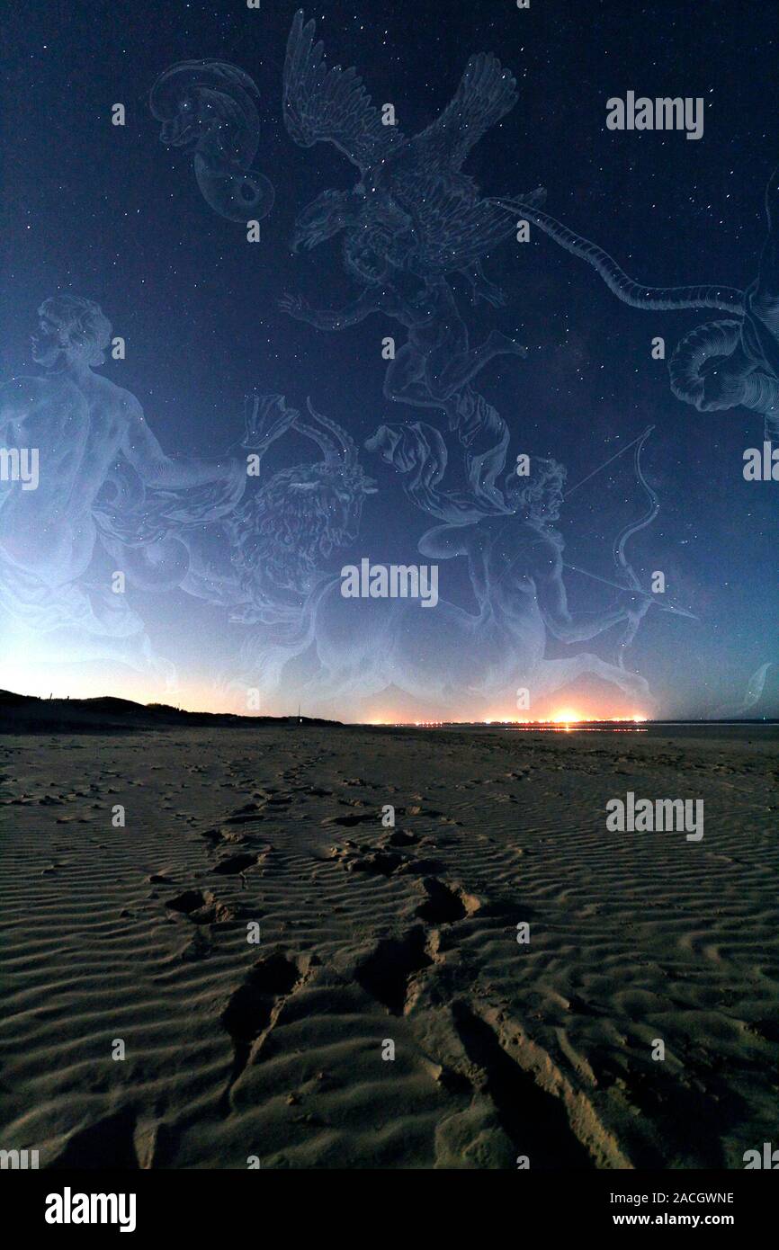 Summer night sky over a beach. Among the constellations seen here are ...