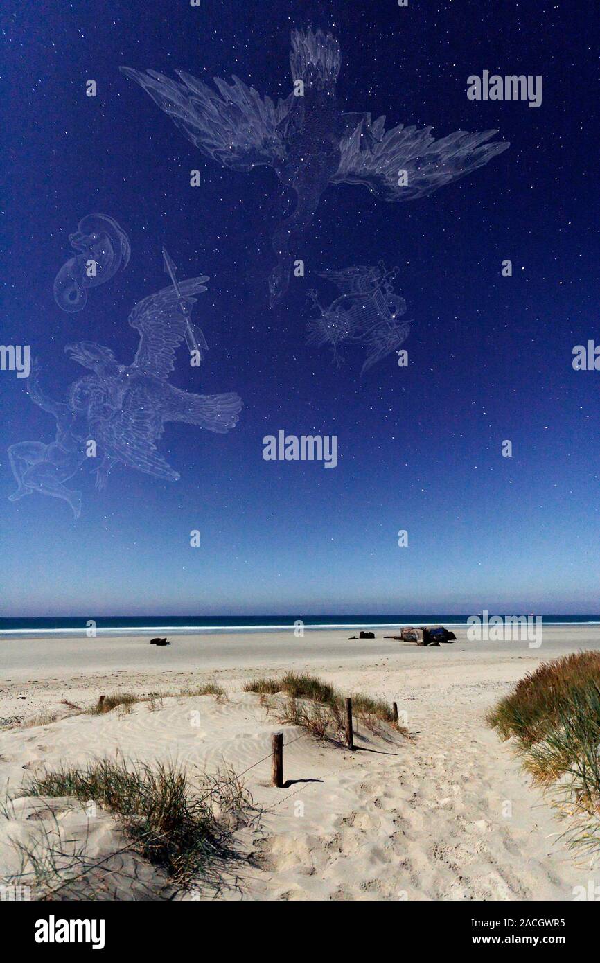 Beach under a full Moon. Among the constellations seen in this summer ...
