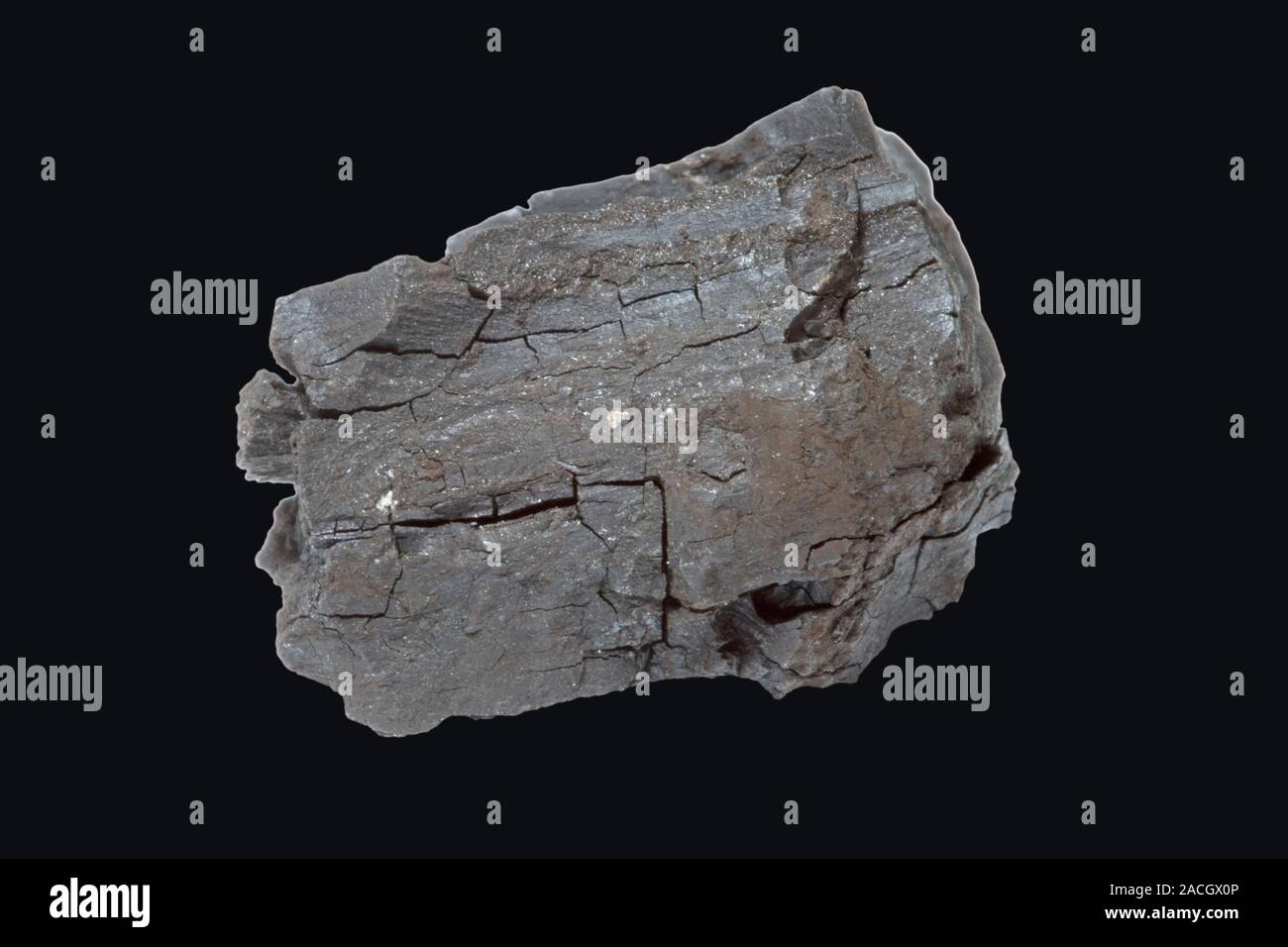 Lignite Coal specimen Stock Photo - Alamy