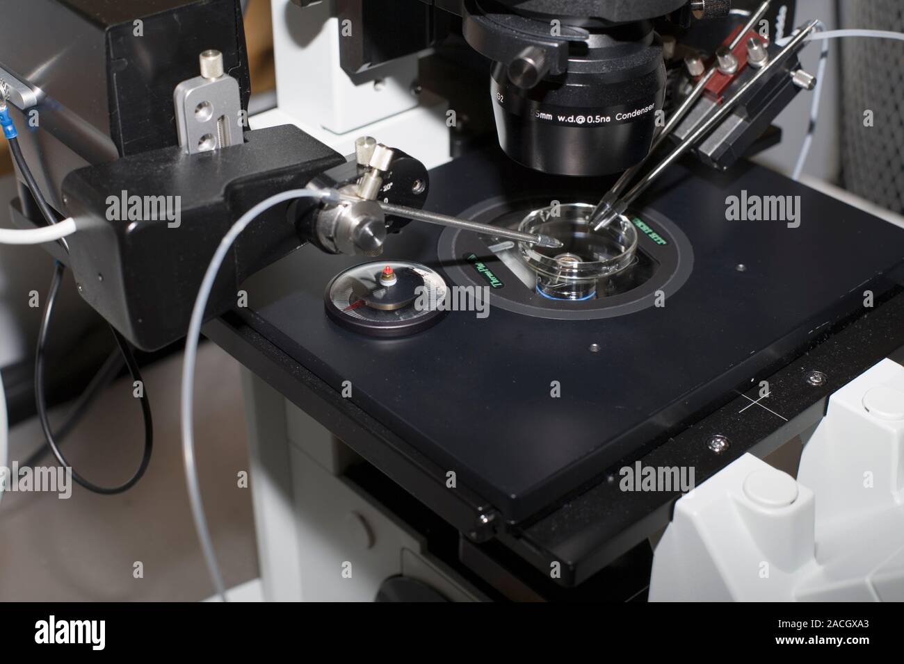 Stage of a light microscope used for In Vitro Fertilization Stock Photo ...