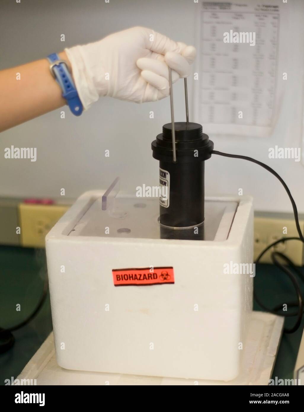 In vitro fertilization laboratory Stock Photo - Alamy