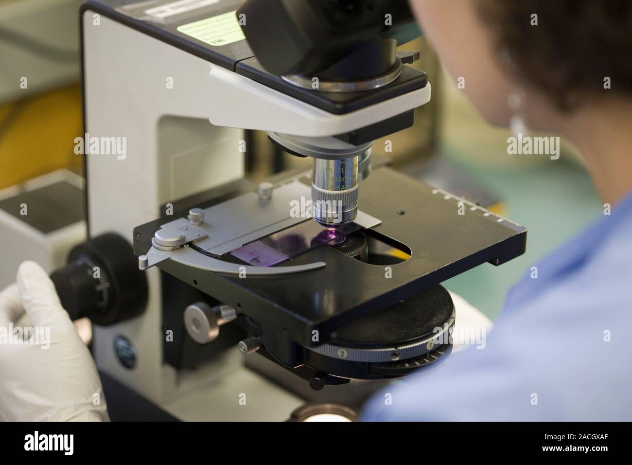 In vitro fertilization laboratory Stock Photo - Alamy