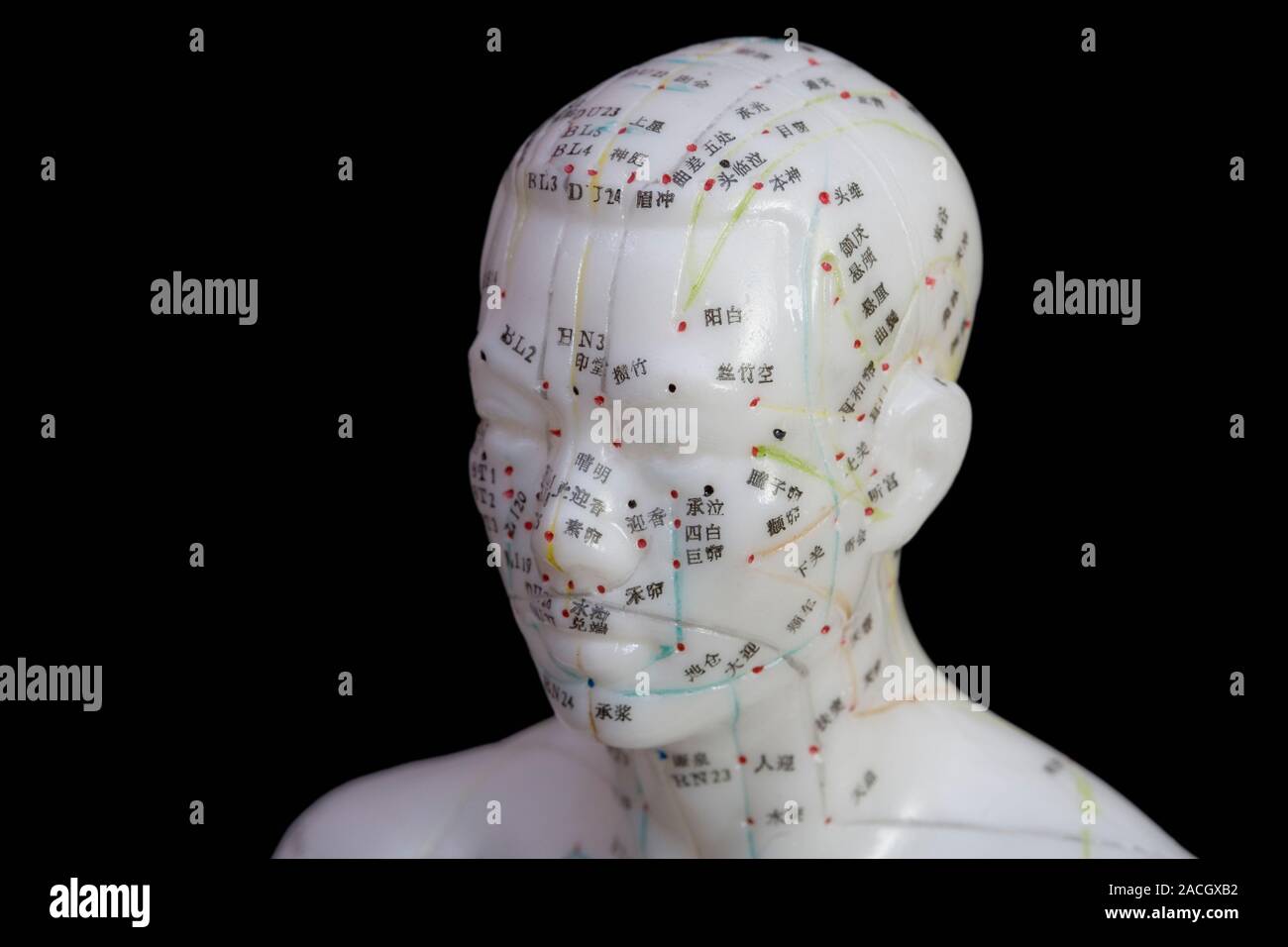 Human model showing acupuncture points Stock Photo - Alamy