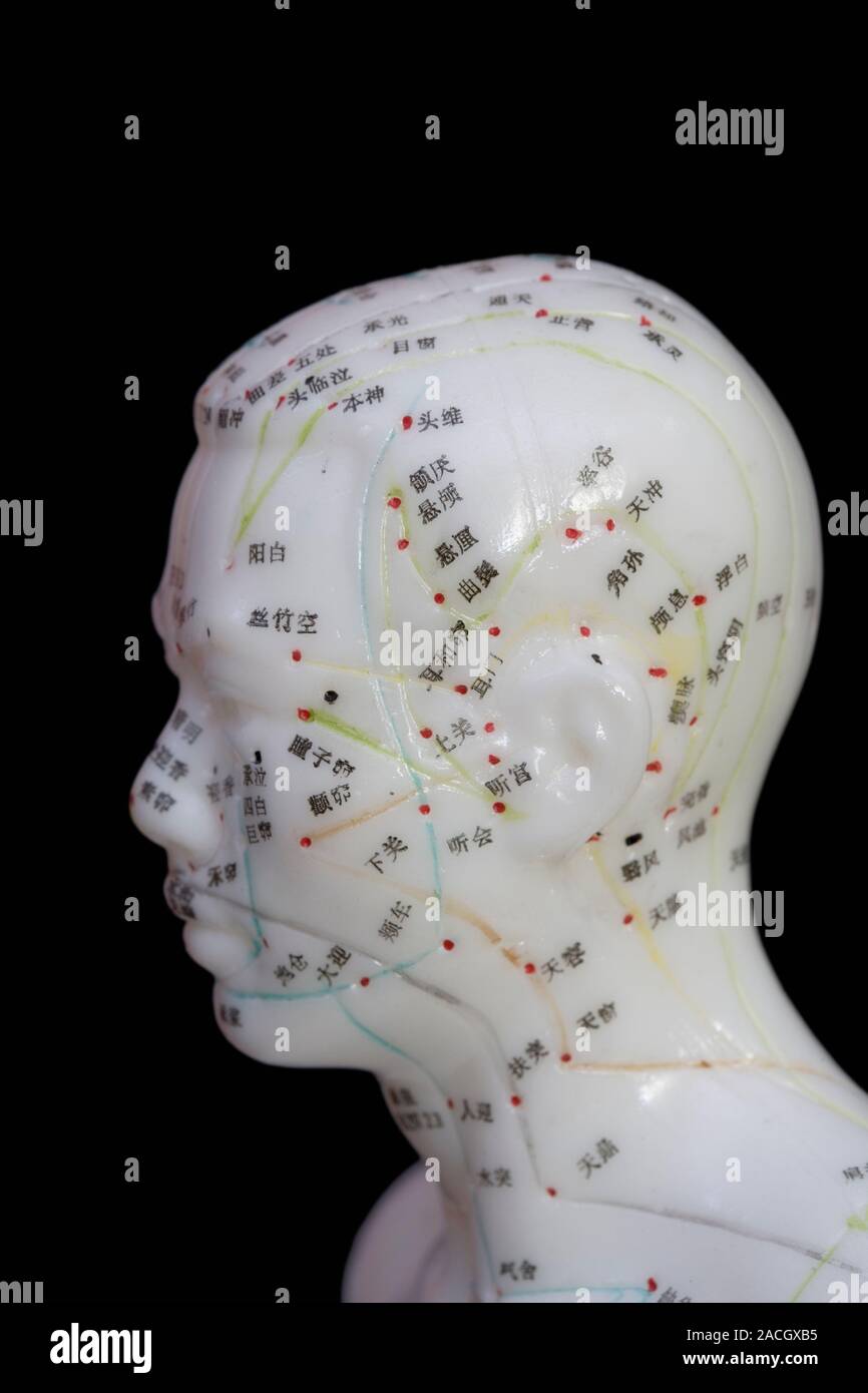 Human model showing acupuncture points Stock Photo - Alamy