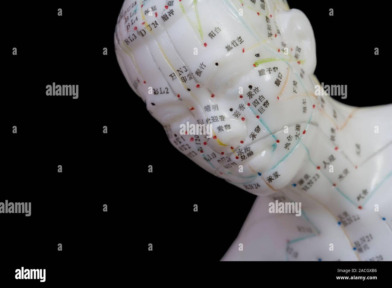 Human model showing acupuncture points Stock Photo - Alamy