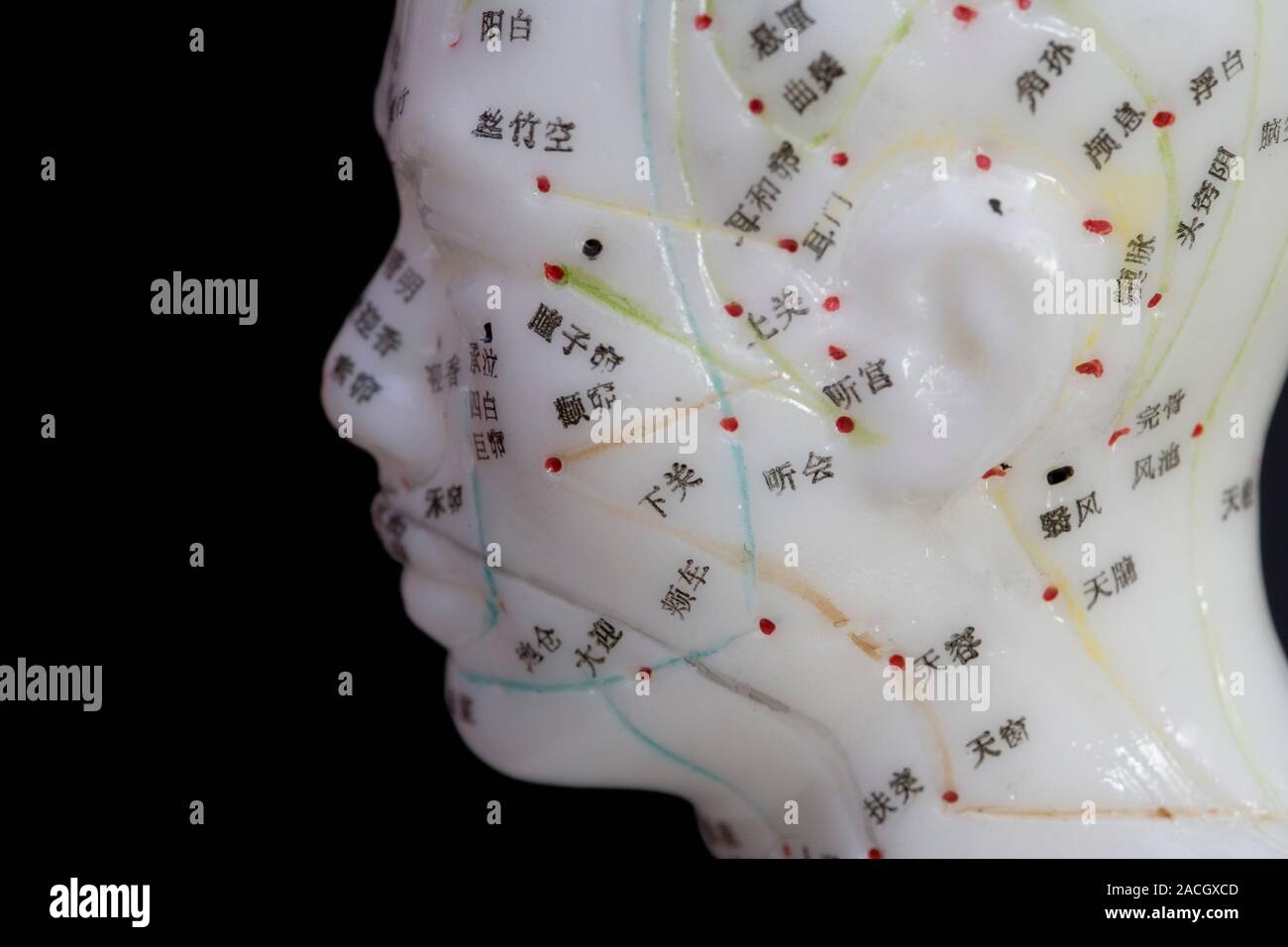 Human model showing acupuncture points Stock Photo - Alamy