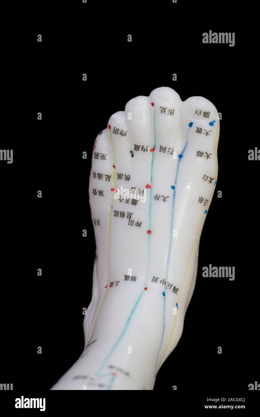 Human model showing acupuncture points Stock Photo - Alamy