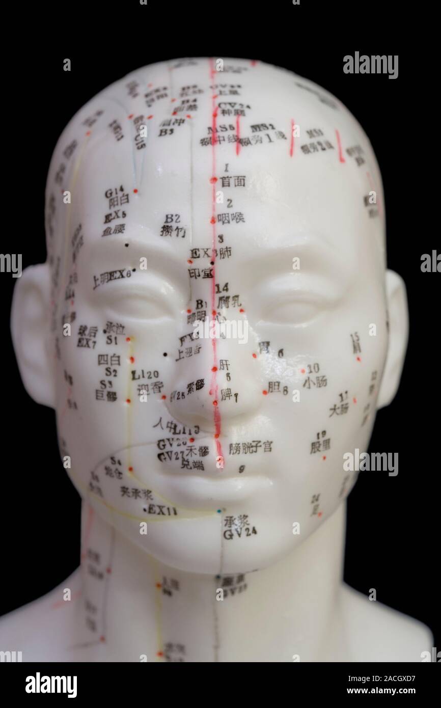 Human model showing acupuncture points Stock Photo - Alamy