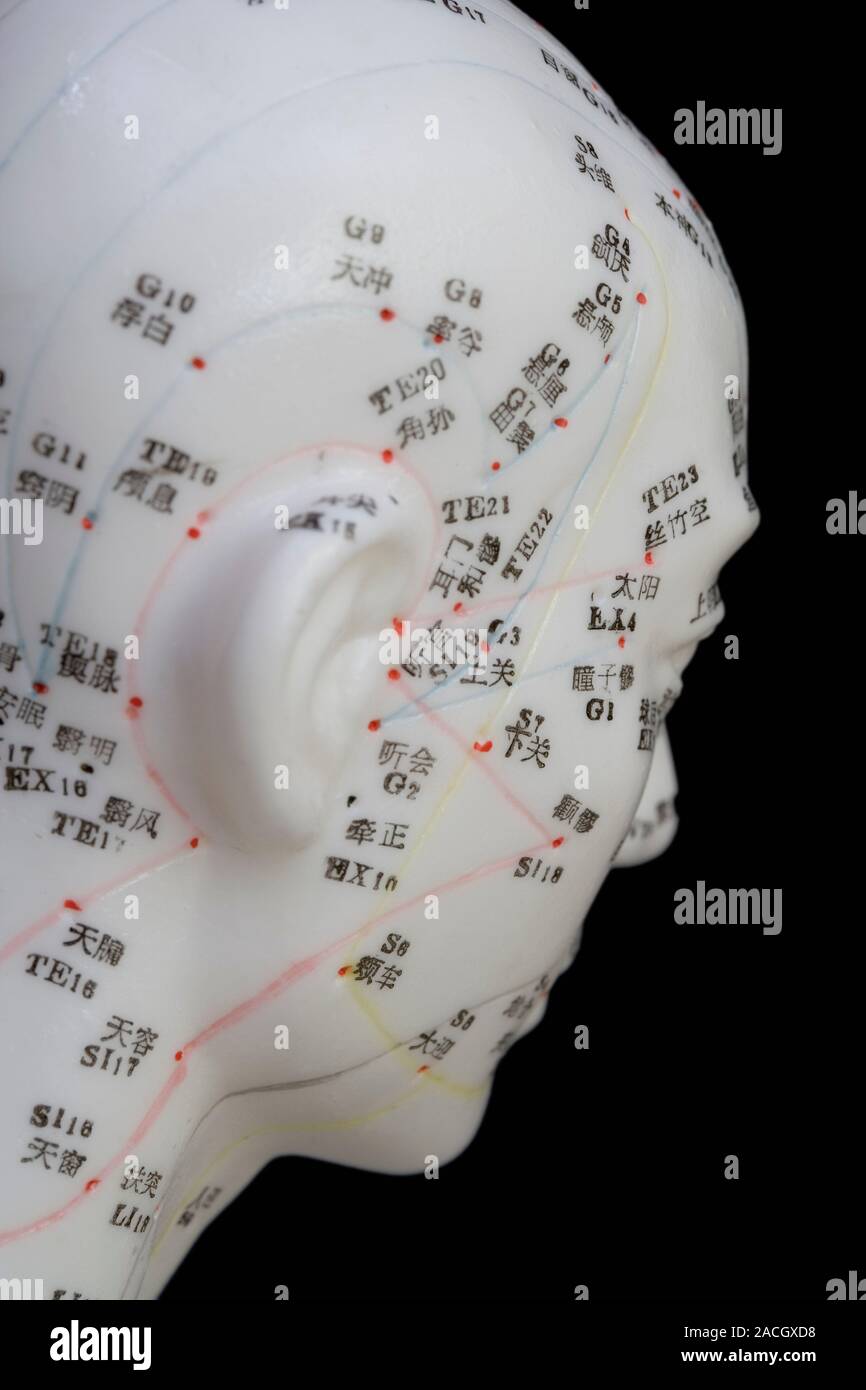Human model showing acupuncture points Stock Photo - Alamy