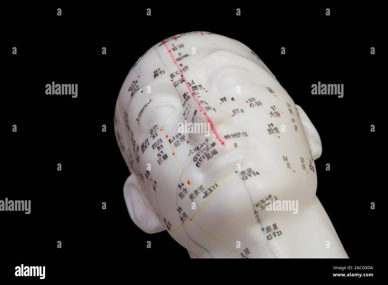 Human model showing acupuncture points Stock Photo - Alamy