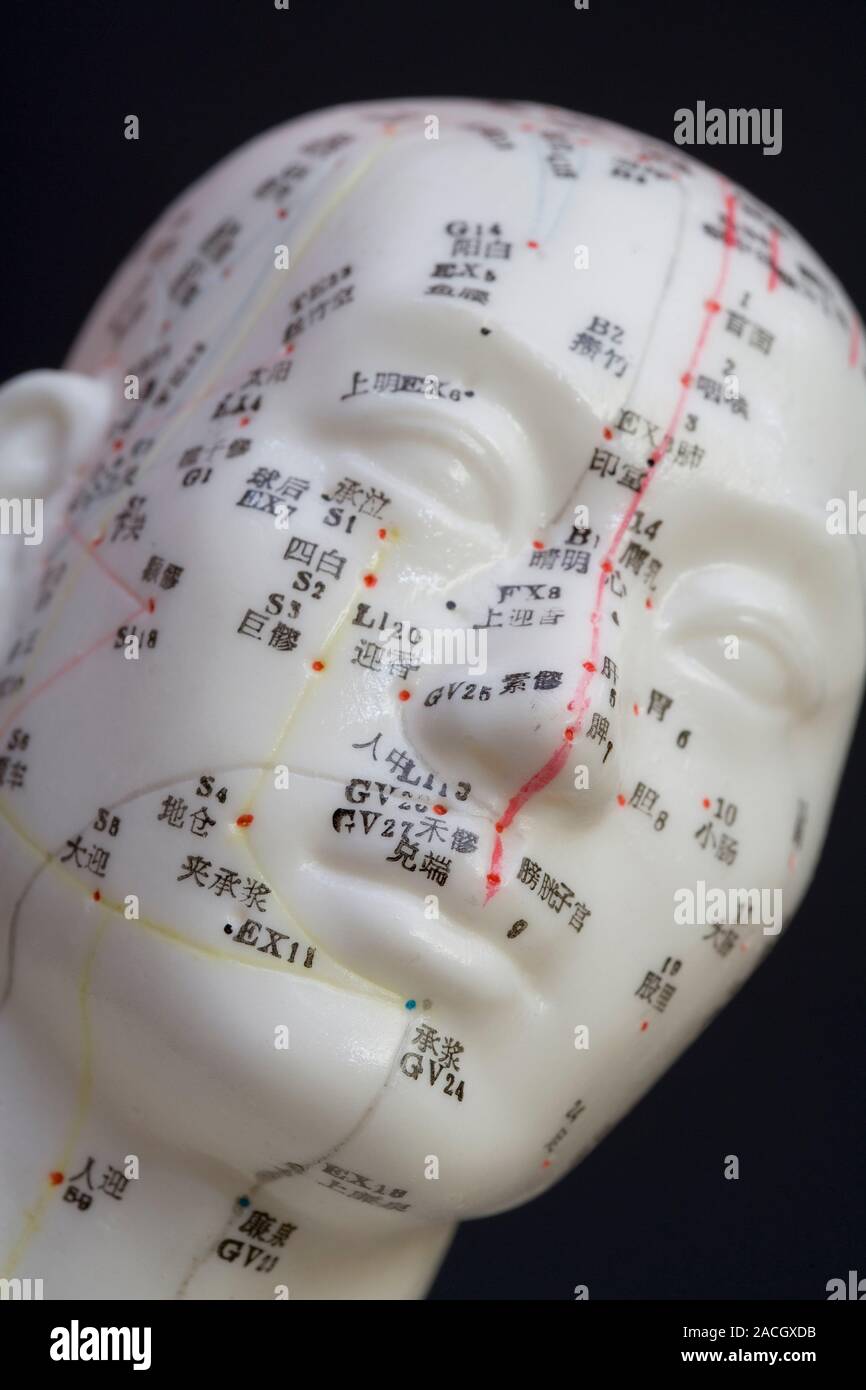 Human model showing acupuncture points Stock Photo - Alamy