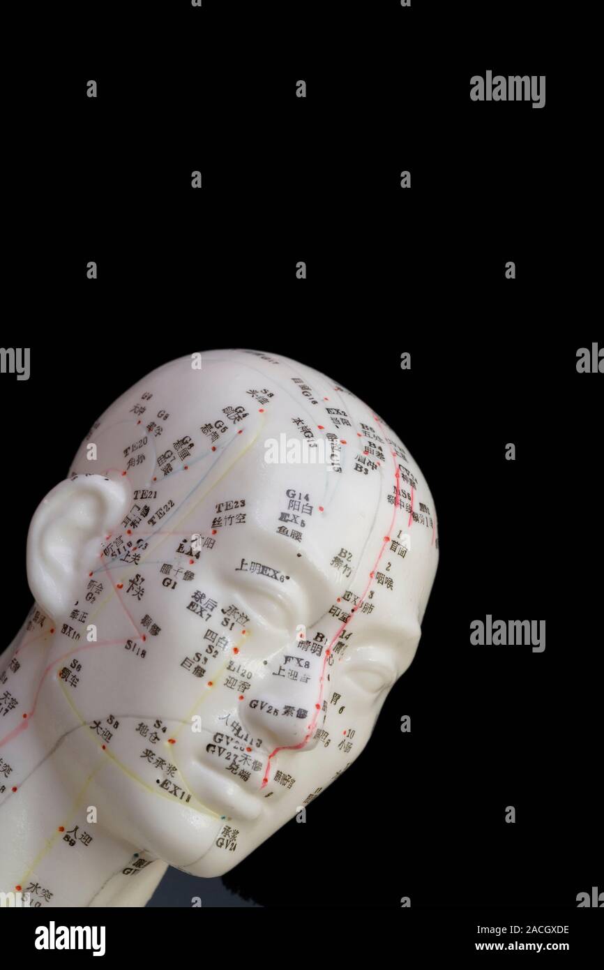 Human model showing acupuncture points Stock Photo - Alamy